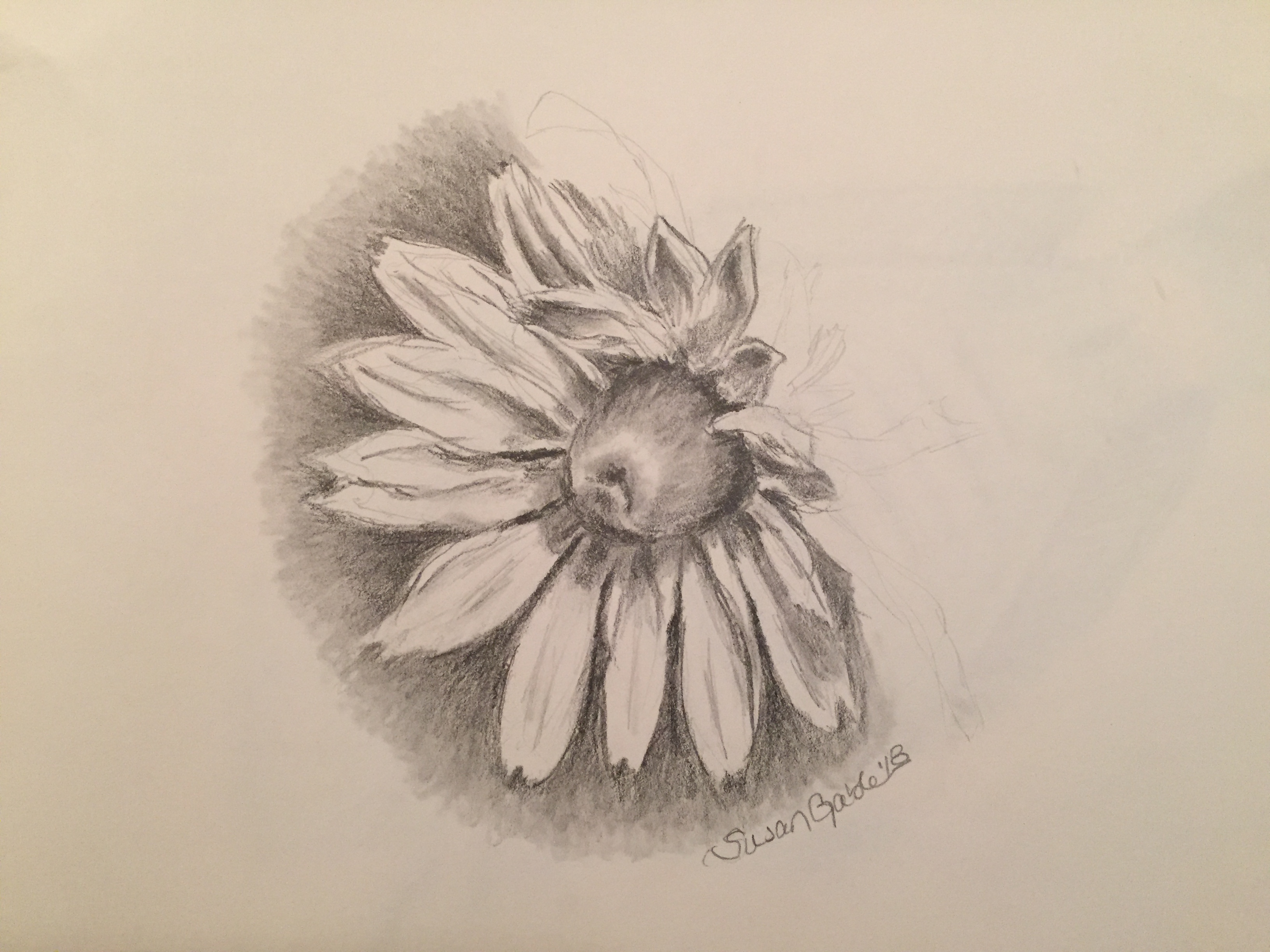 A Flower – SusieG Studio