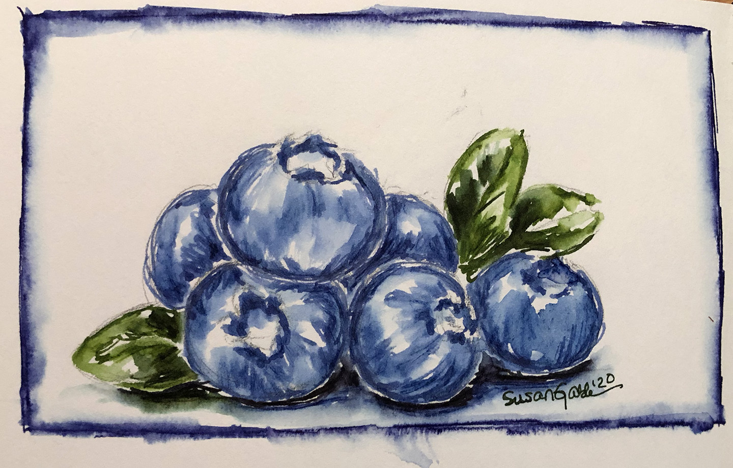Blueberry_ink_sketch_5198 – SusieG Studio