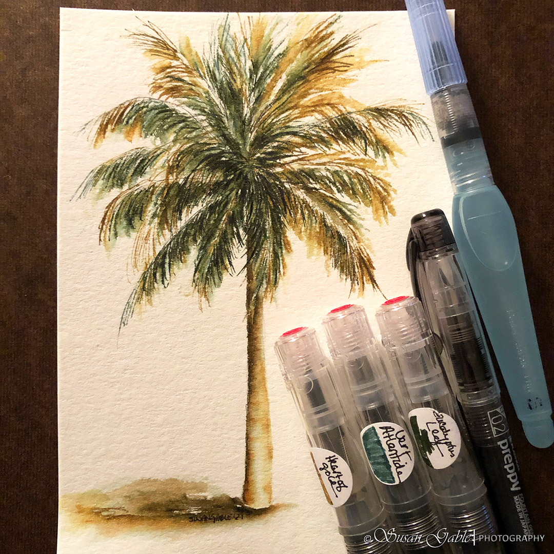 Palm Tree Pen and Ink Wash – SusieG Studio