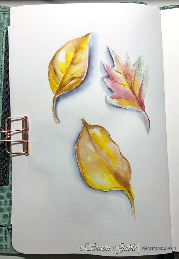 Leaves: Pen & Ink Wash with Robert Oster Signature Fountain Pen Inks ...