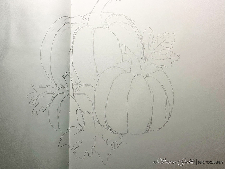 A Rough Pumpkin Sketch and a Prompt – SusieG Studio