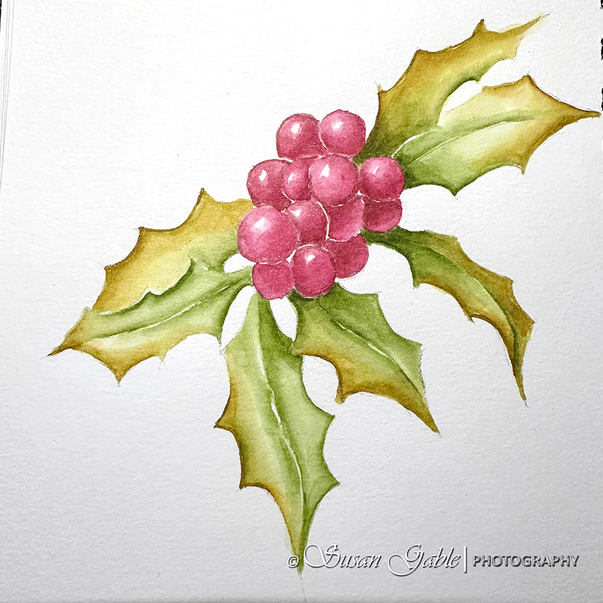 Holly & Berries #1 and #2 – Pen & Ink Sketches and a Prompt – SusieG Studio
